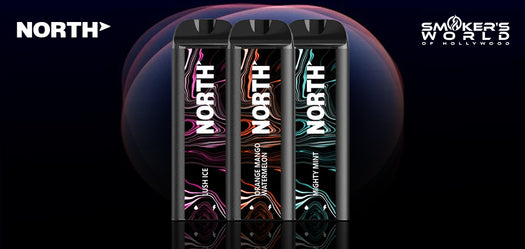 The Definitive Guide to North Vapes and the Latest North Vape 5000 ...
