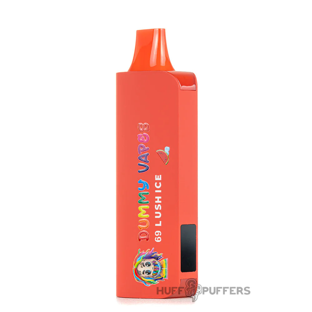 Dummy Vapes 8000 Puffs Disposable Vape - 1 Pack – Smokers World